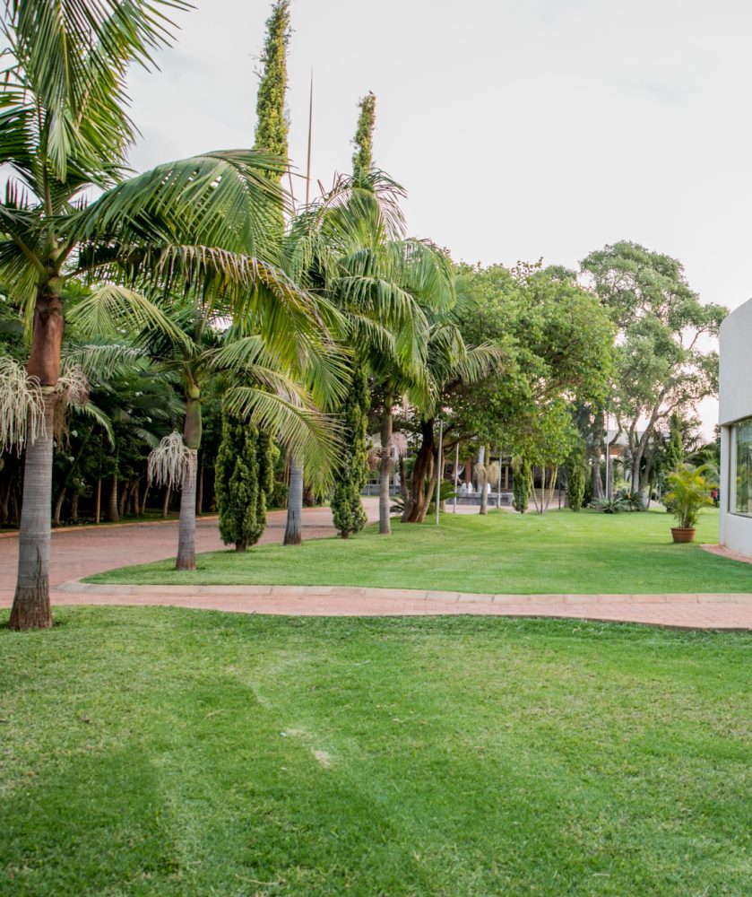 ABOUT US - Twangale Park